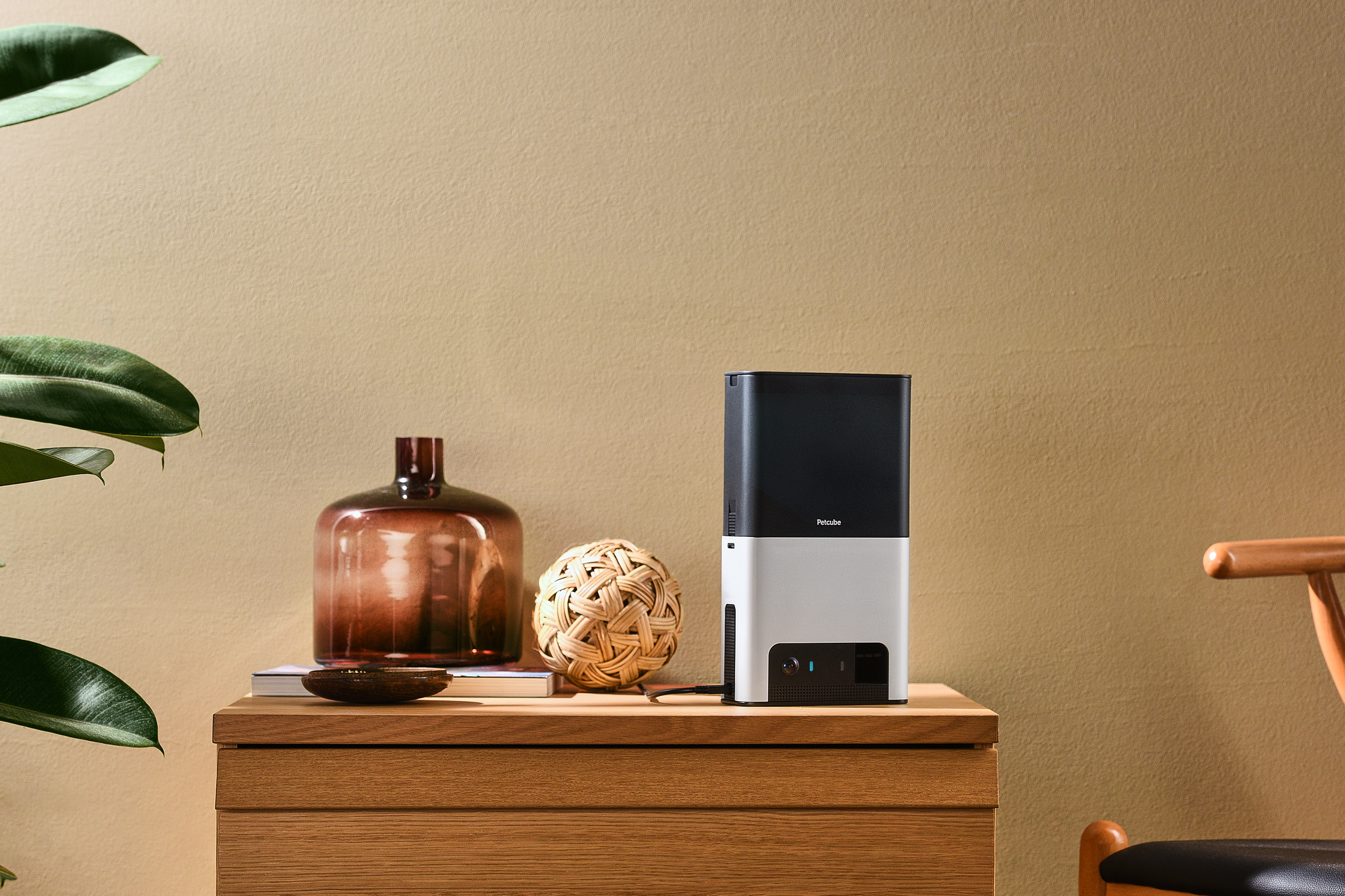 Petcube Media Resources, Images And Logos