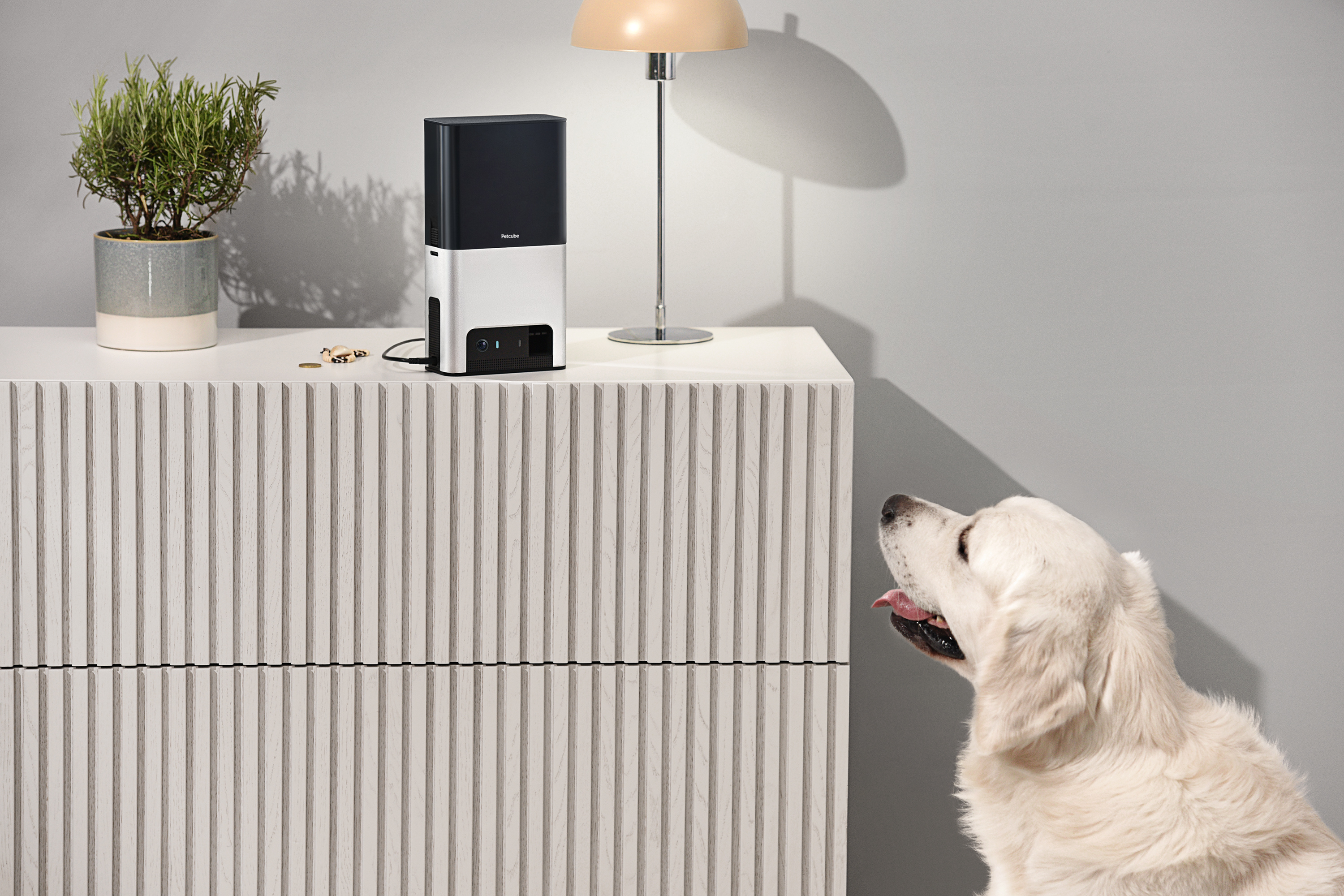 Petcube Media Resources, Images And Logos