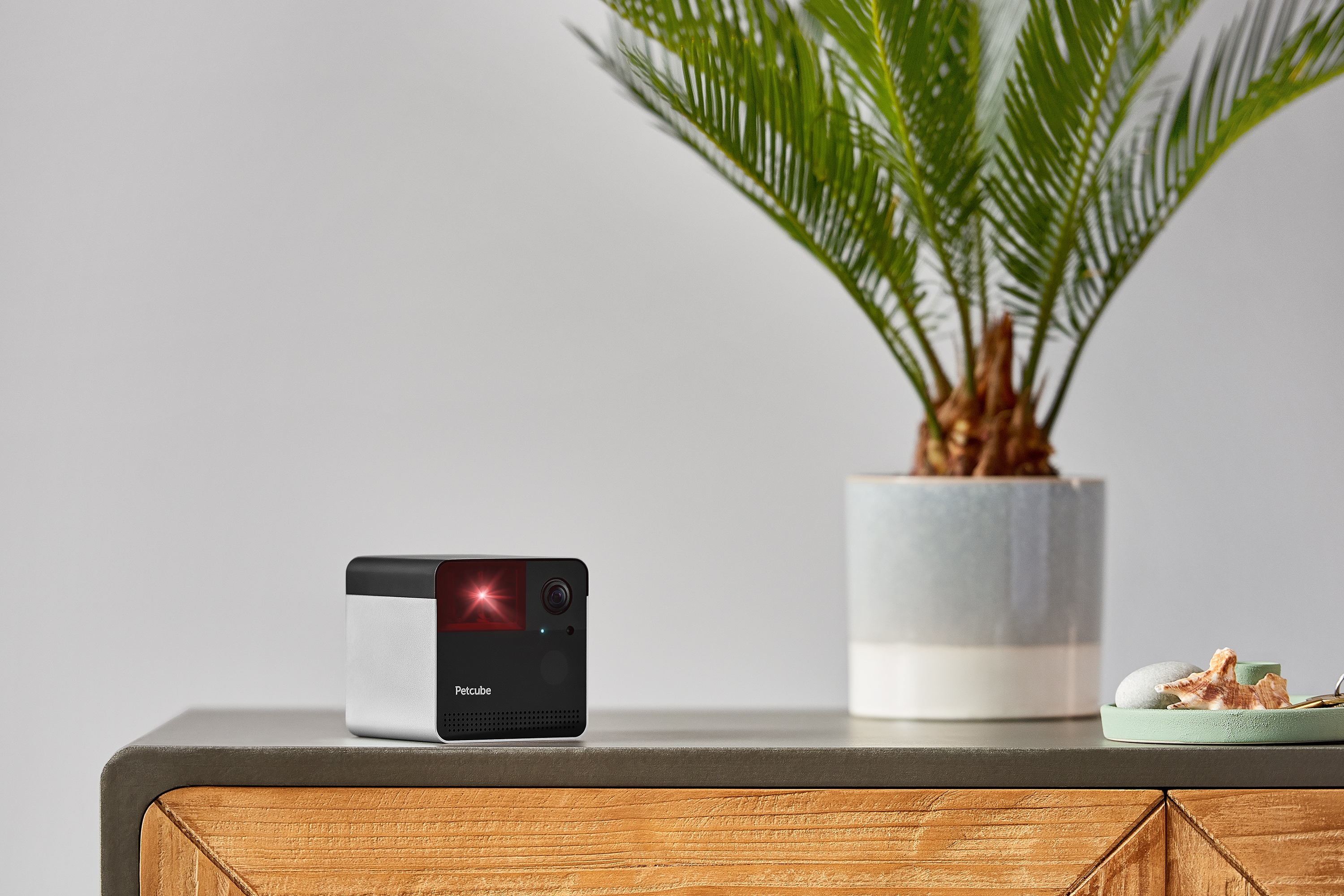 Petcube Media Resources, Images And Logos