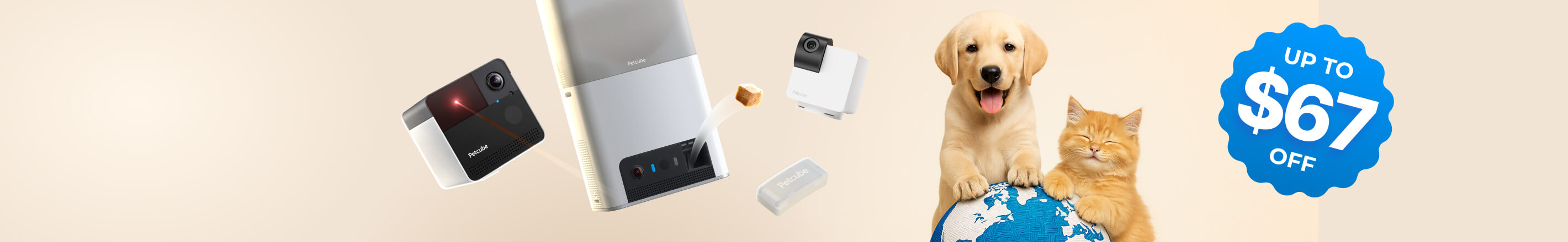 Edema in Dogs: Causes and Treatments