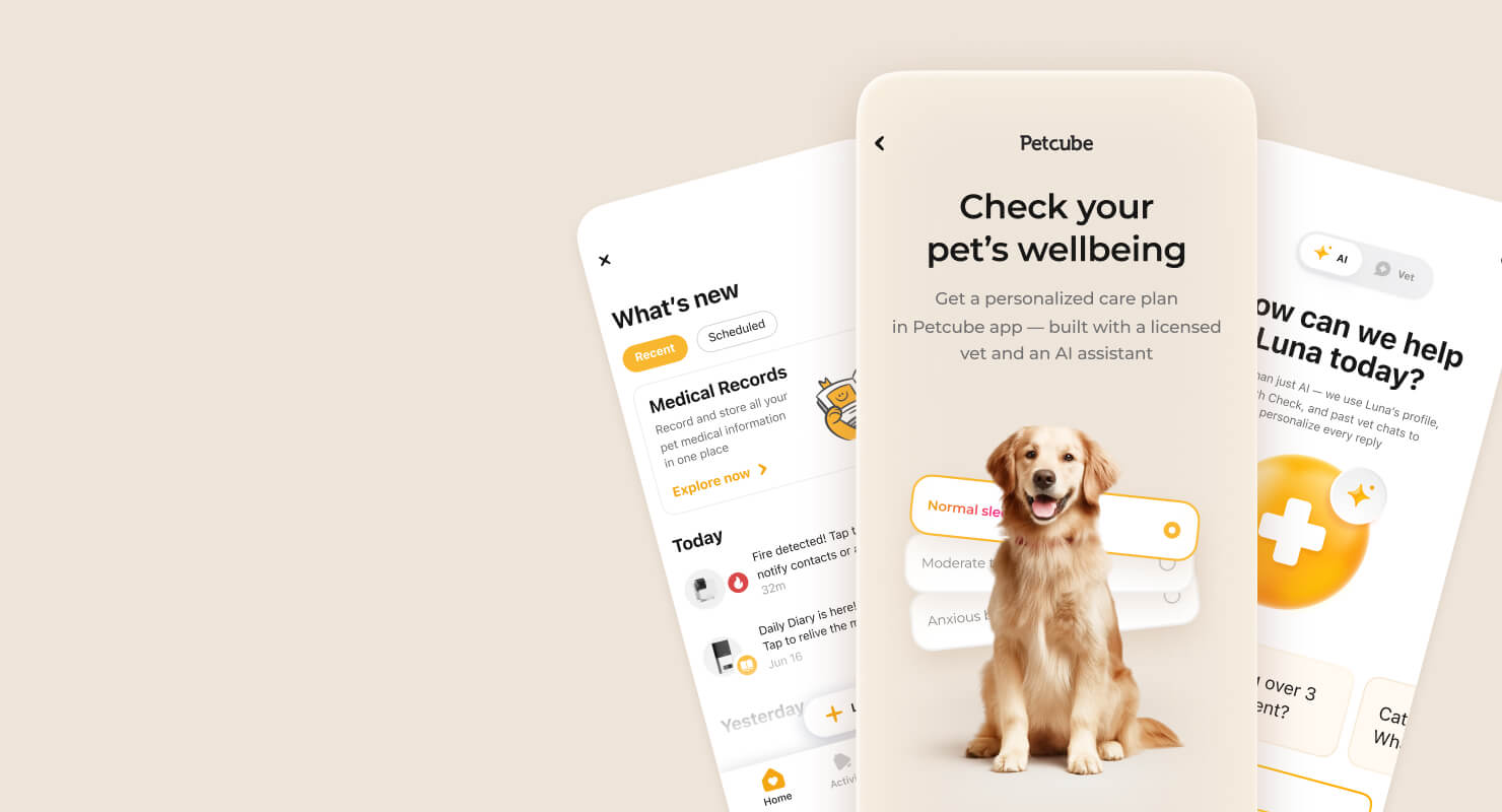 Edema in Dogs: Causes and Treatments