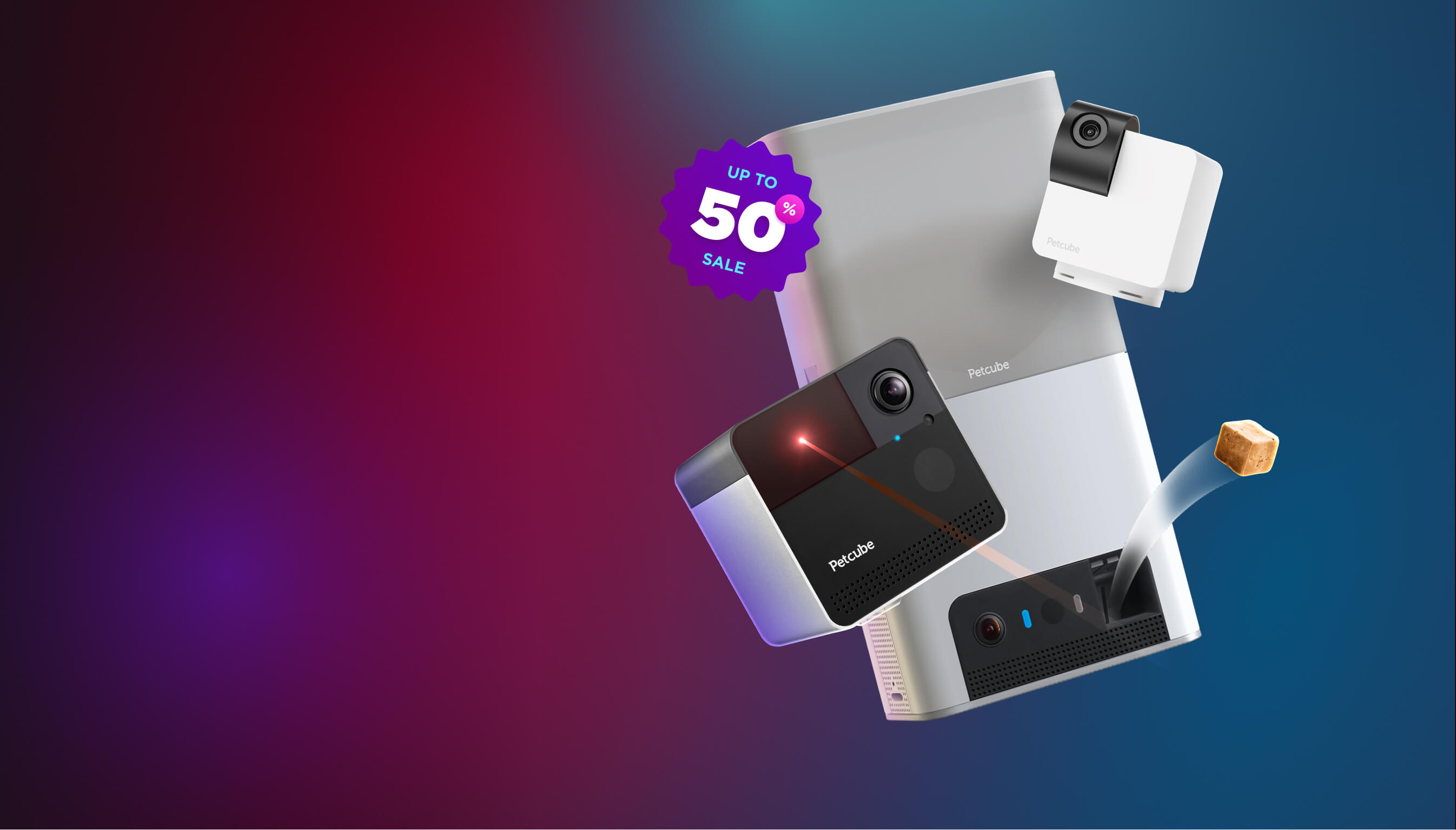 Which Fruits are Safe for Dogs to Eat: Benefits & Pitfalls