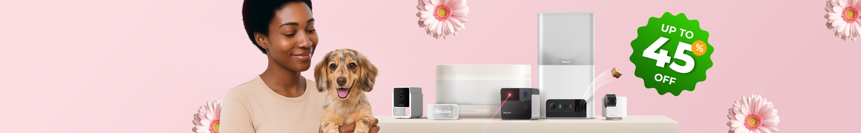 What Is a Sploot? Definition, Examples, and Cuteness Overload