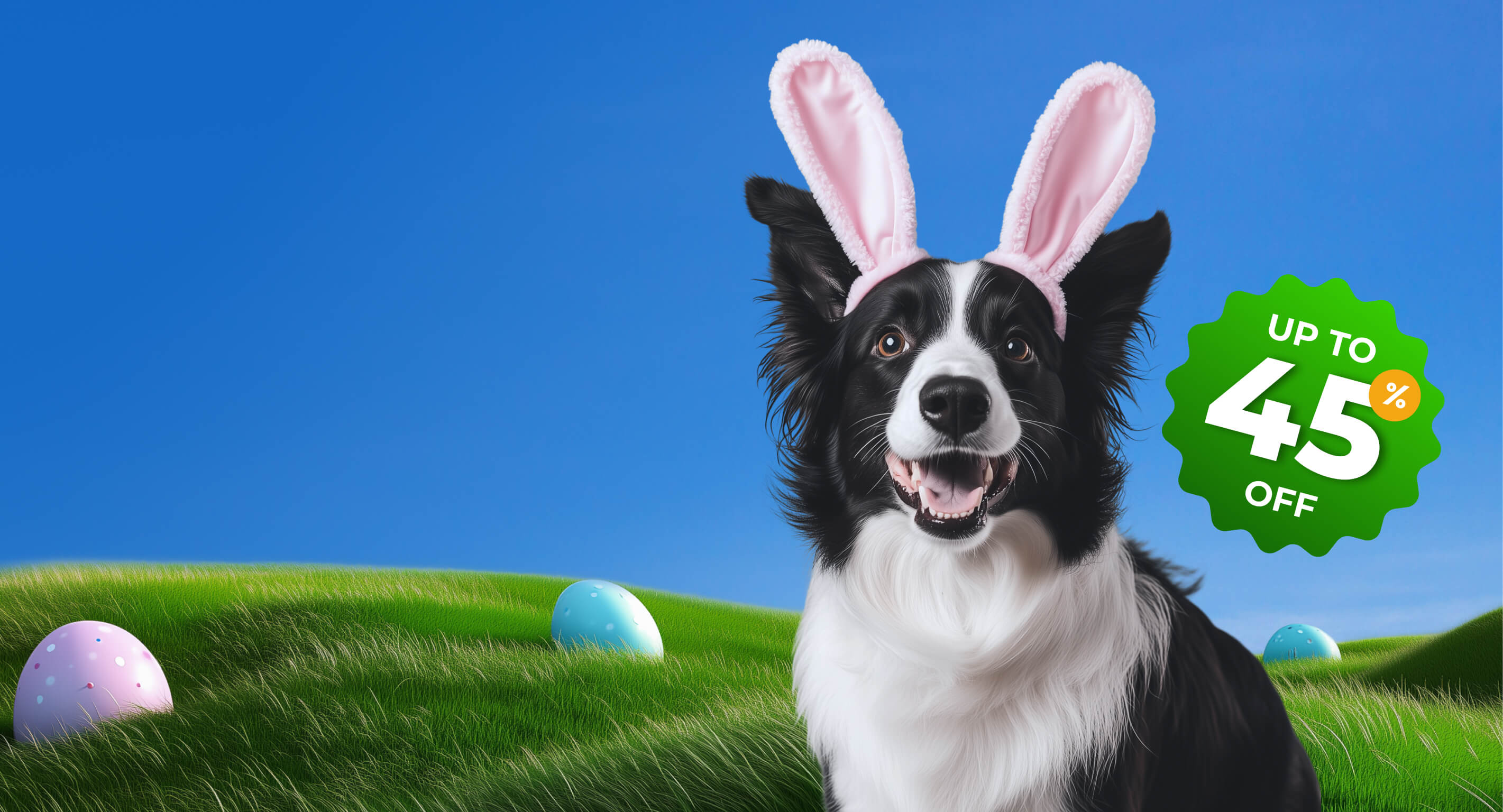 Edema in Dogs: Causes and Treatments