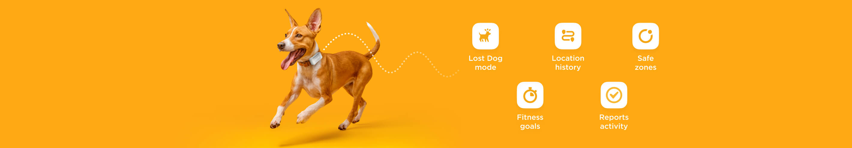 What Is a Sploot? Definition, Examples, and Cuteness Overload